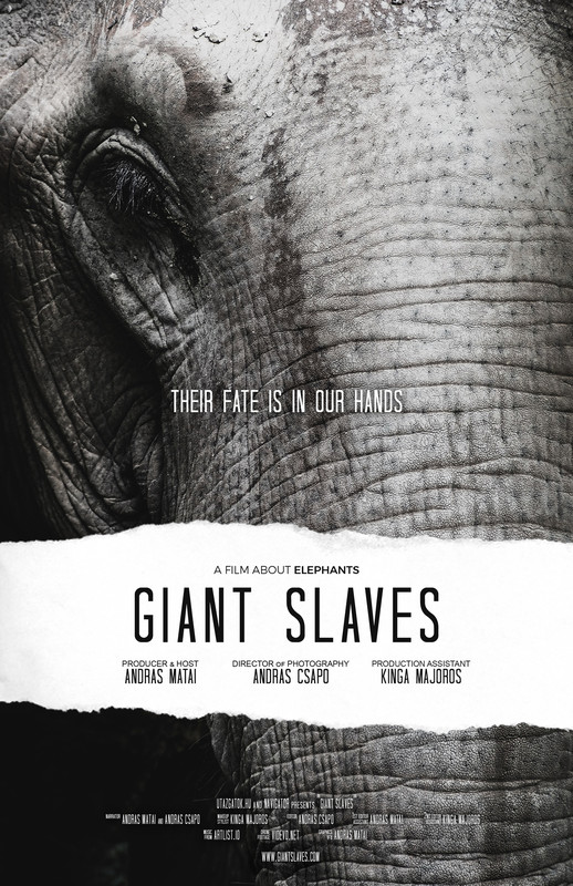 Giant Slaves – Elephants in tourism industry – International Migration ...