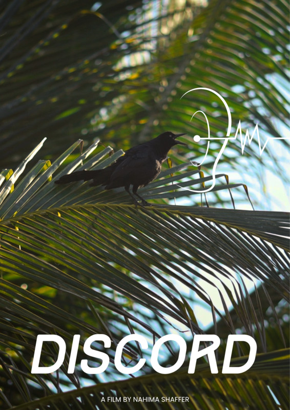 Discord – International Migration & Environmental Film Festival